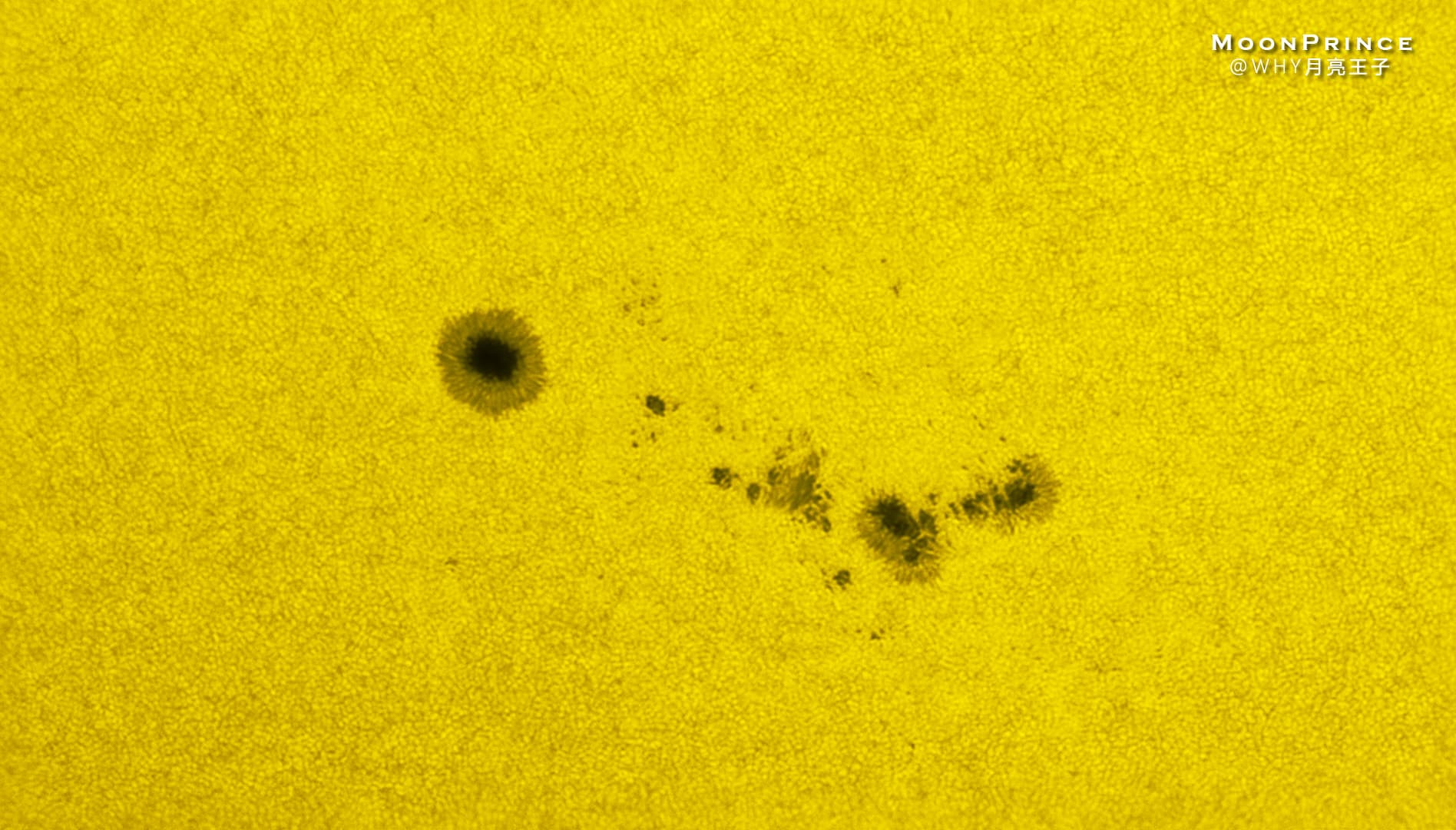 Mars-M USB3.0 Mono Camera (IMX290) – Player One Astronomy